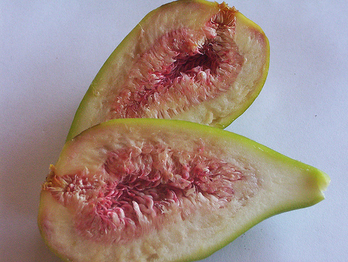 From ‘cool’ to ‘c***’ : 50 shades of genitaliano slang. | Married to Italy